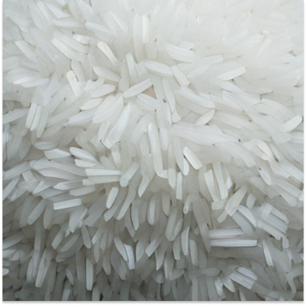 True Rice