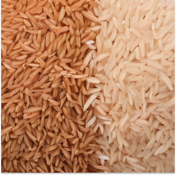 True Rice